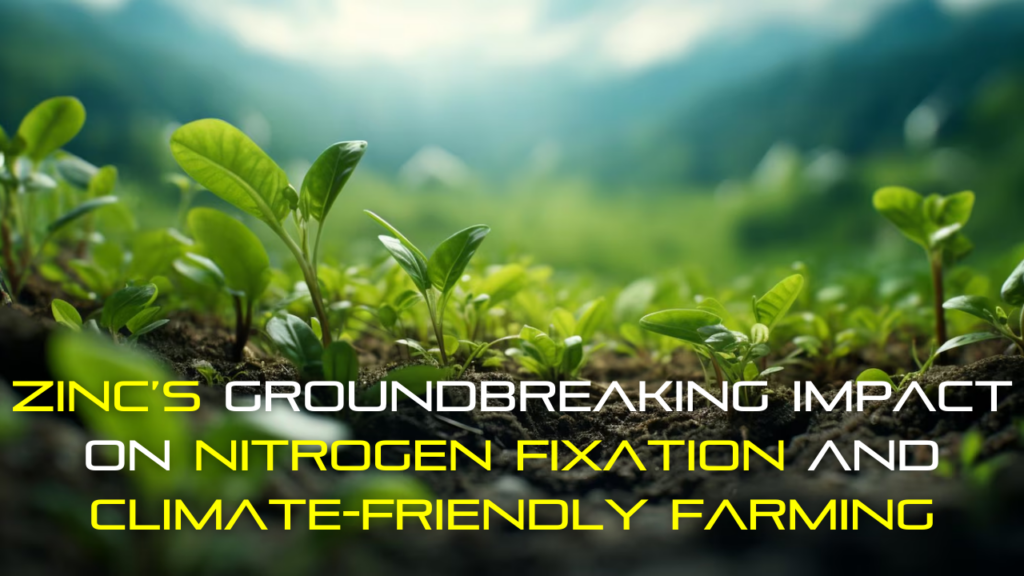 Zinc’s Groundbreaking Impact On Nitrogen Fixation And Climate-Friendly ...