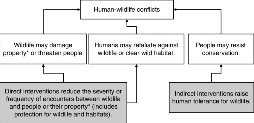 CAG Report On Kerala's Human-Wildlife Conflicts - The Study IAS