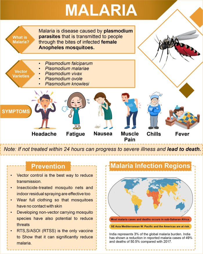 Fighting Mosquito Menace With Repellents And Vaccines - The Study IAS