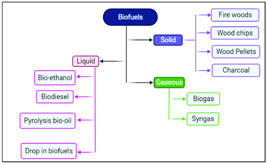 World Biofuel Day - The Study IAS