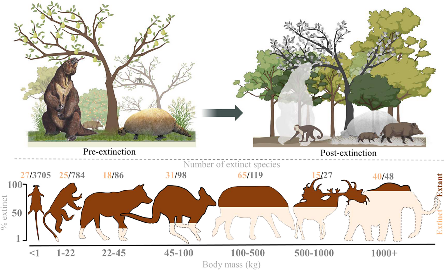 Megafauna Extinctions - The Study IAS
