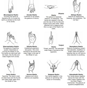 Mudras Of The Great Buddha: Symbolic Gestures And Postures - The Study IAS