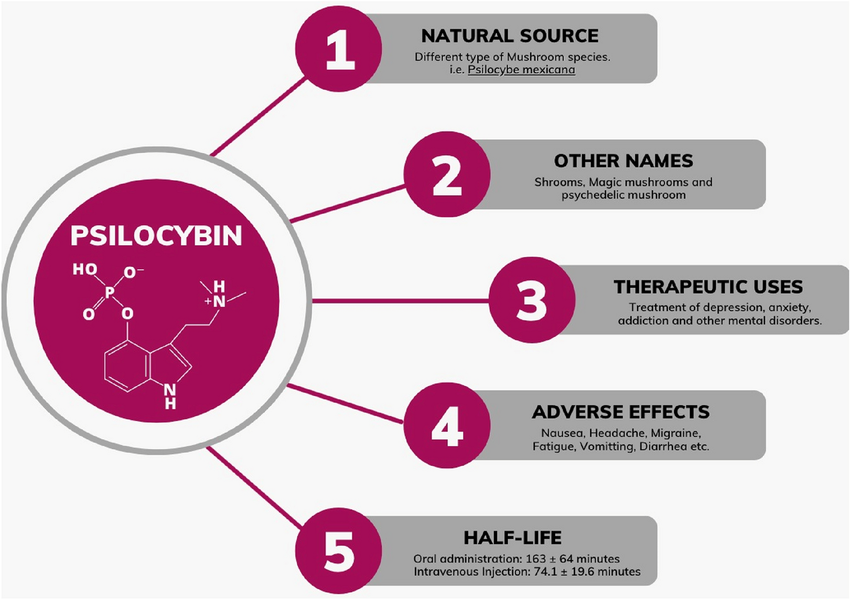 Species In News: Psilocybe Mushrooms - The Study IAS