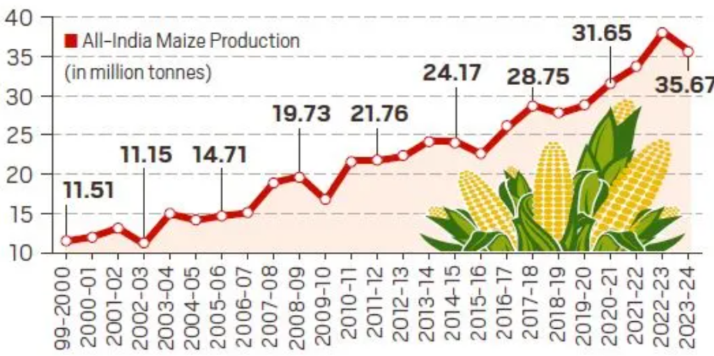 Rise Of Maize Production In India - The Study IAS
