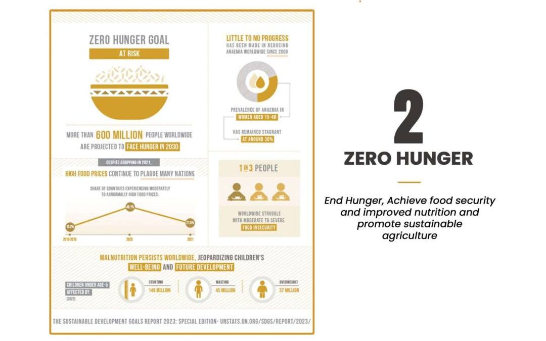 Reversal In Progress On Zero Hunger - The Study IAS