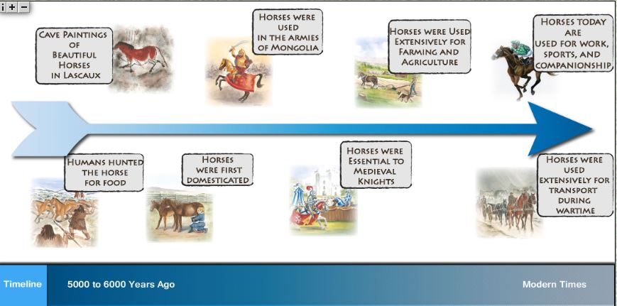 Horse Domestication And Mobilisation - The Study IAS