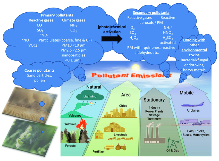 Air Pollution PM2.5 - The Study IAS