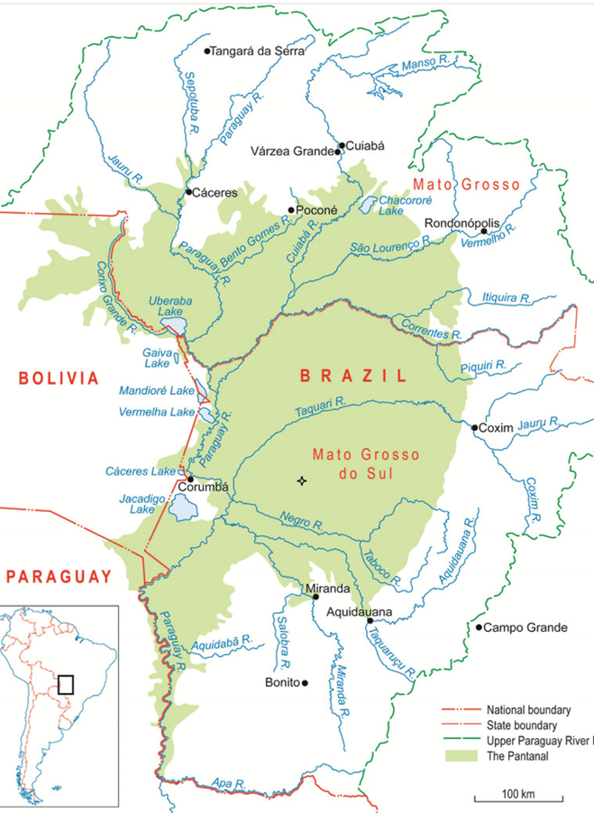 Pantanal Wetland - The Study IAS