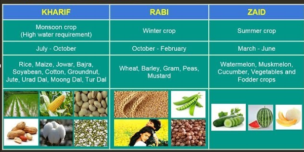 Crops In India - The Study IAS