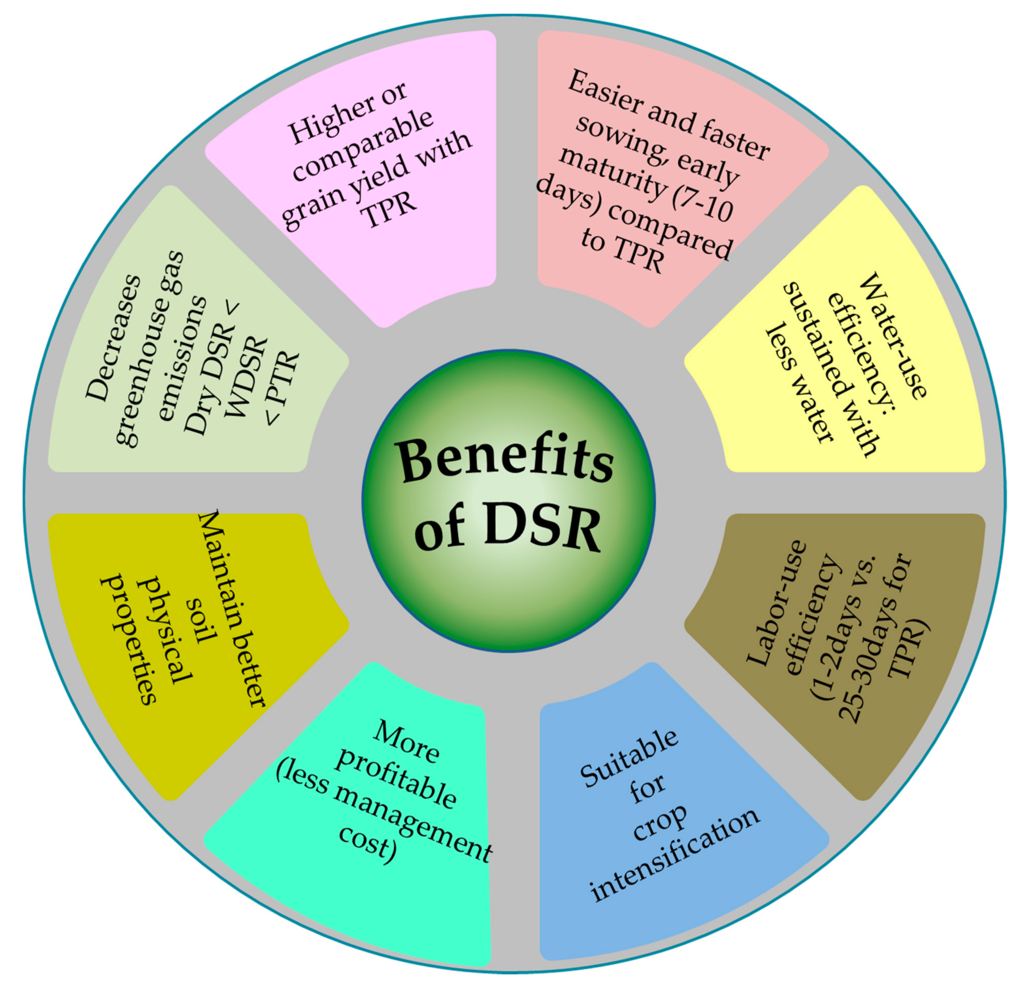 Direct Seeding Of Rice (DSR): TAR-WATTAR Technique - The Study IAS