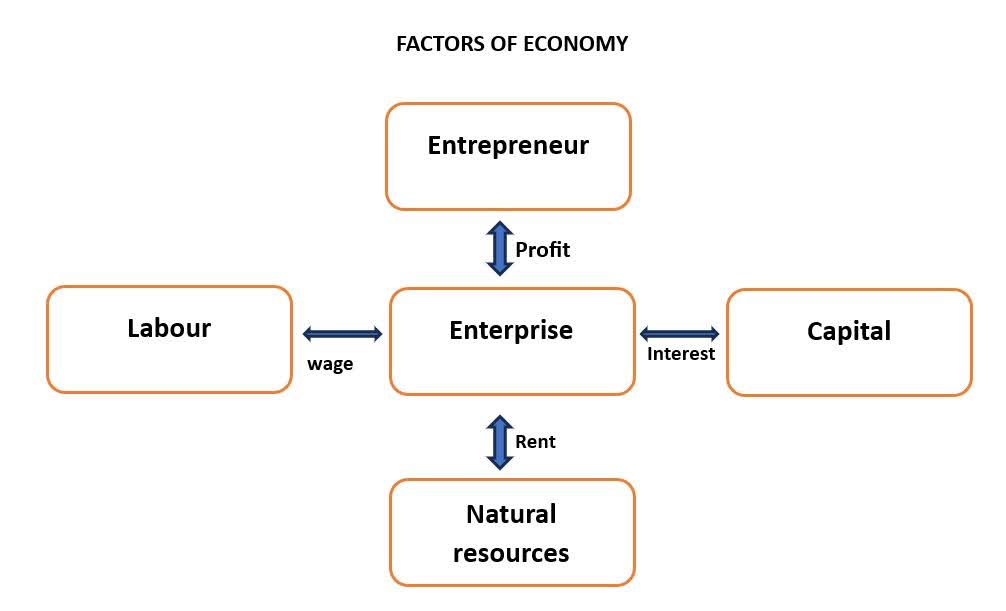 India's Startup Ecosystem - The Study IAS