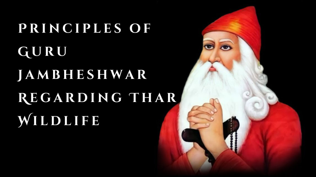 Principles Of Guru Jambheshwar Regarding Thar Wildlife 10259