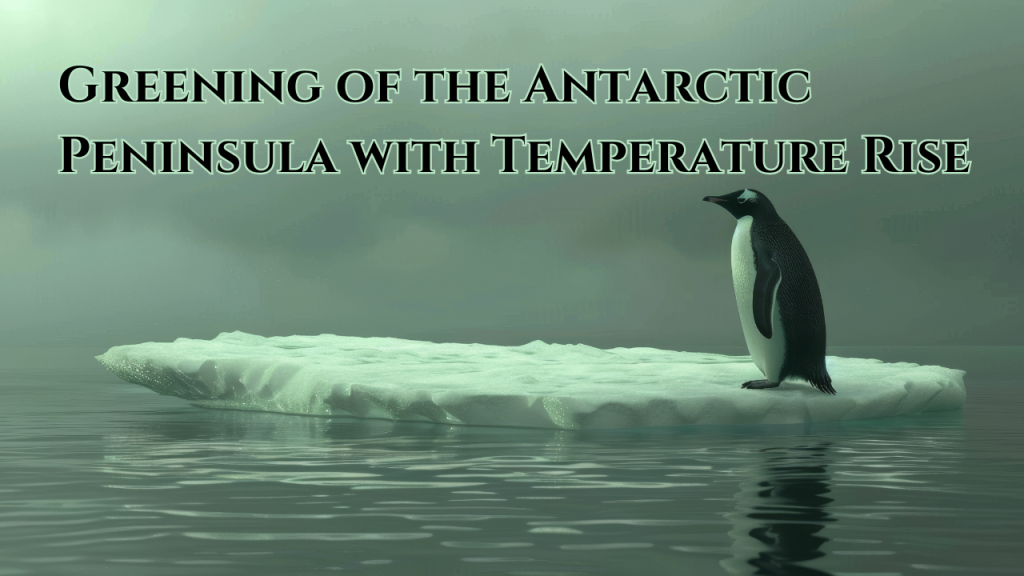 Antarctic Peninsula - Increased Greening Effect - 9753