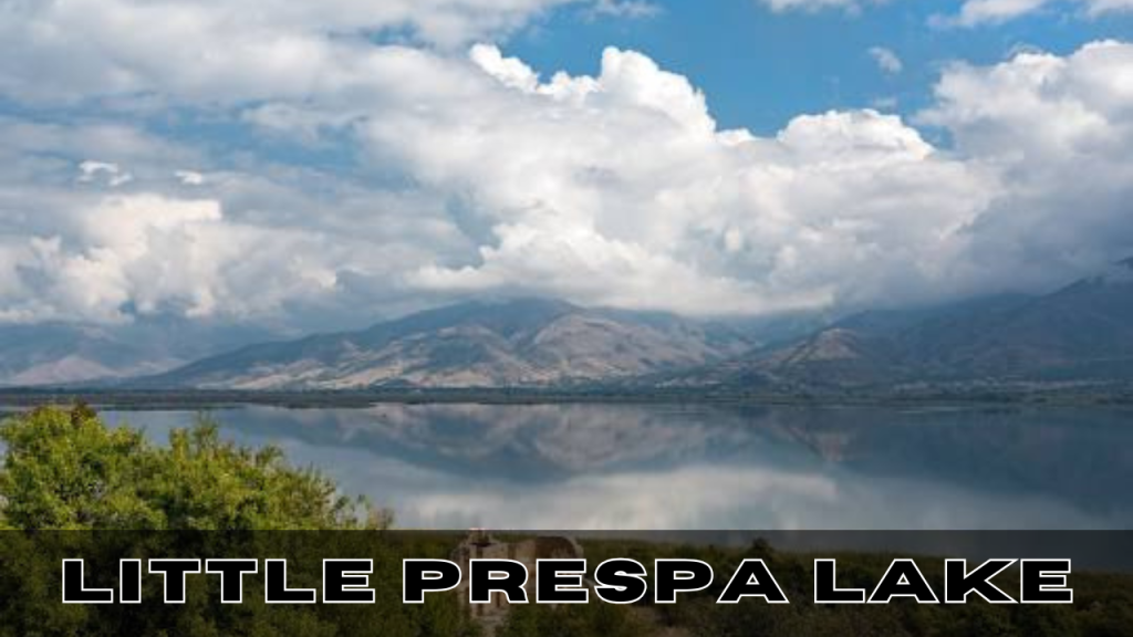 Little Prespa Lake - The Study IAS 9797