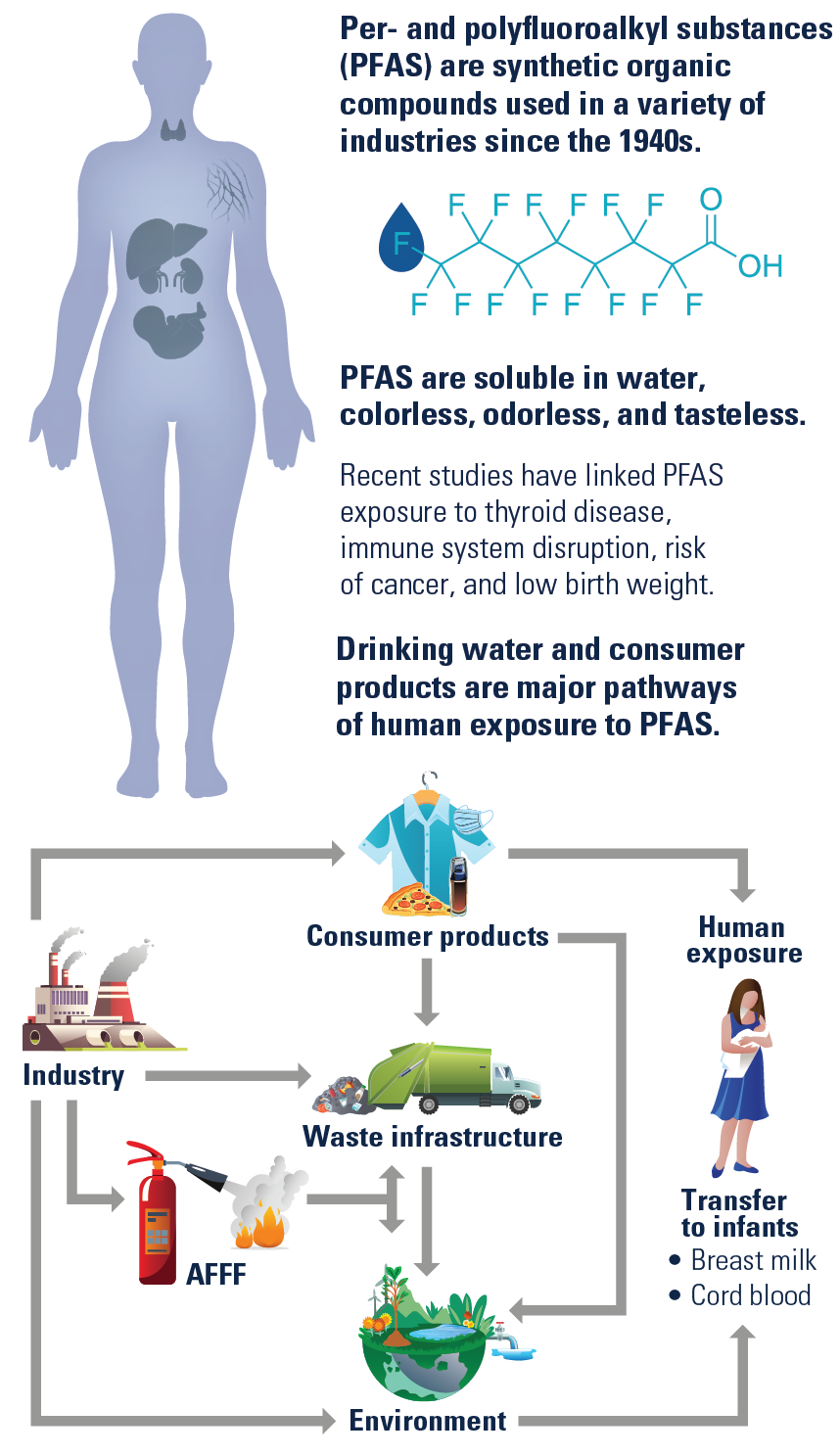 Per- And Polyfluoroalkyl Substances (PFAS) - The Study IAS