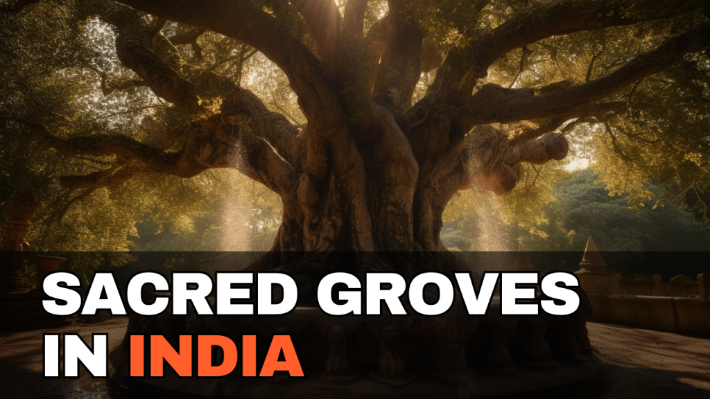 Sacred Groves In India: Protecting Nature, Culture, And Community ...